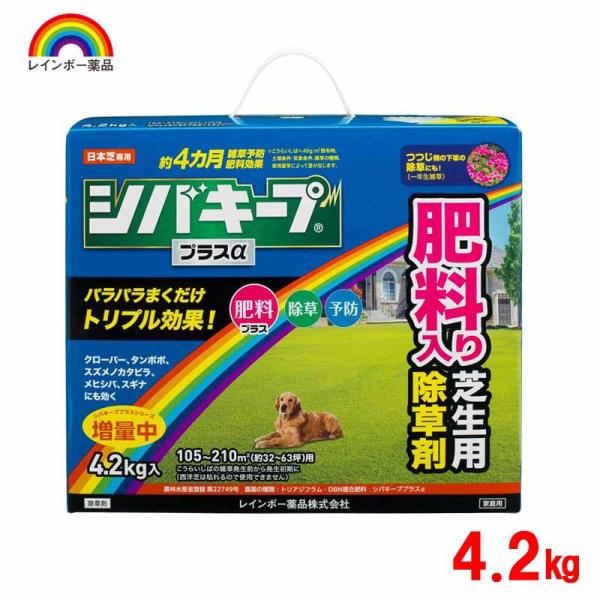 パラパラまくだけトリプル効果!【特徴】・パラパラまくだけトリプル効果!・日本芝専用・約4ヶ月雑草予防、肥料効果(※こうらいしばへ40g/m2散布時、土壌条件・気象条件、雑草の種類、使用量等によって差が生じます)・つつじ類の下草の除草にも(一...