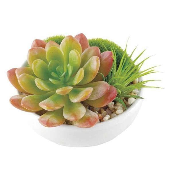 コンパクトでかわいくて空気もキレイに お手軽グリーンでお部屋の華やかさをアップ まるで本物 多肉植物のぷっくり感がリアル 中身が見えるギフトボックス【仕様】商品サイズ：約幅10.5×奥行10×高さ8（cm）材質：A/PVC、ポリエチレン、ポ...