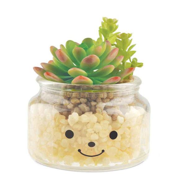 手のひらサイズで手軽に楽しめるグリーンです。安心安全のCT触媒を施しています。中身が見えるパッケージです。【仕様】商品サイズ：約高さ11.5（cm） 直径：約10（cm）材質：樹脂、ガラス、石生産国：中国製セット内容：1個