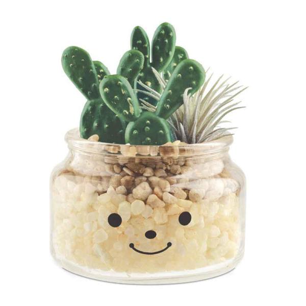 手のひらサイズで手軽に楽しめるグリーンです。安心安全のCT触媒を施しています。中身が見えるパッケージです。【仕様】商品サイズ：約高さ12（cm） 直径：約10（cm）材質：樹脂、ガラス、石生産国：中国製セット内容：1個