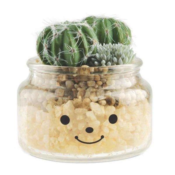 手のひらサイズで手軽に楽しめるフェイクグリーンです。かわいらしい消臭多肉植物シリーズです。CT触媒の働きによって、空気をキレイにしてくれます。光が不要なので玄関やトイレ、どんな場所でもお使いいただけます。置く場所によって風水効果があります。...