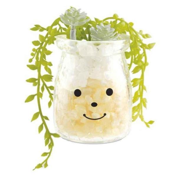 手のひらサイズで手軽に楽しめるフェイクグリーンです。かわいらしい消臭多肉植物シリーズです。CT触媒の働きによって、空気をキレイにしてくれます。光が不要なので玄関やトイレ、どんな場所でもお使いいただけます。置く場所によって風水効果があります。...