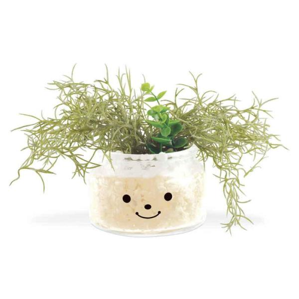 手のひらサイズで手軽に楽しめるフェイクグリーンです。かわいらしい消臭多肉植物シリーズです。CT触媒の働きによって、空気をキレイにしてくれます。光が不要なので玄関やトイレ、どんな場所でもお使いいただけます。置く場所によって風水効果があります。...