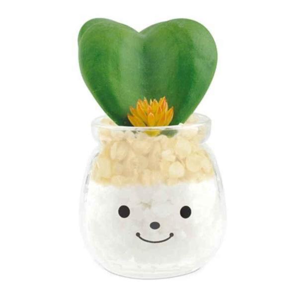 手のひらサイズで手軽に楽しめるフェイクグリーンです。かわいらしい消臭多肉植物シリーズです。空気をキレイにするCT触媒の働きによって、悪臭成分や空気中の細菌を分解してくれます。光が不要なので玄関やトイレ、どんな場所でもお使いいただけます。置く...