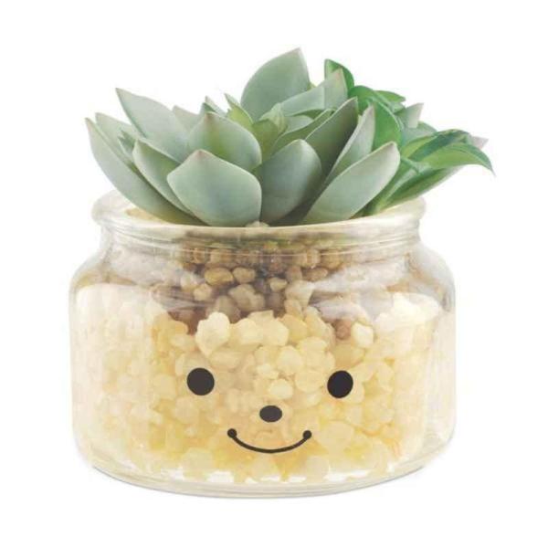 手のひらサイズで、まるで本物のような質感の高いリアルなフェイクグリーンです。CT触媒の働きによって、空気をキレイにしてくれます。光が不要なので玄関やトイレ、どんな場所でもお使いいただけます。ガラス容器から見える石は接着しており、中身はこぼれ...