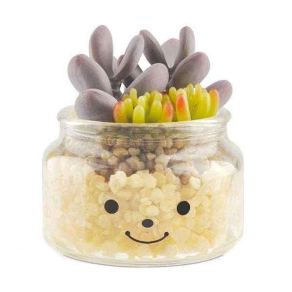 手のひらサイズで、まるで本物のような質感の高いリアルなフェイクグリーンです。CT触媒の働きによって、空気をキレイにしてくれます。光が不要なので玄関やトイレ、どんな場所でもお使いいただけます。ガラス容器から見える石は接着しており、中身はこぼれ...