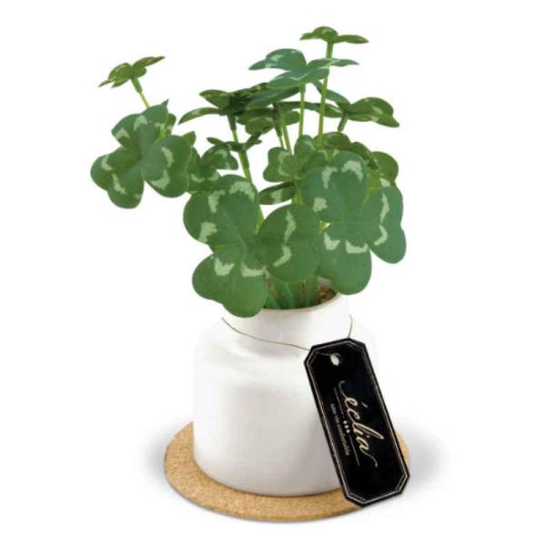 置いておくだけで幸運が訪れそうなクローバーのフェイクグリーンです。空気をキレイにするCT触媒の働きによって、悪臭成分や空気中の細菌を分解してくれます。光が不要なので玄関やトイレ、どんな場所でもお使いいただけます。オリジナルの陶器鉢は雰囲気を...