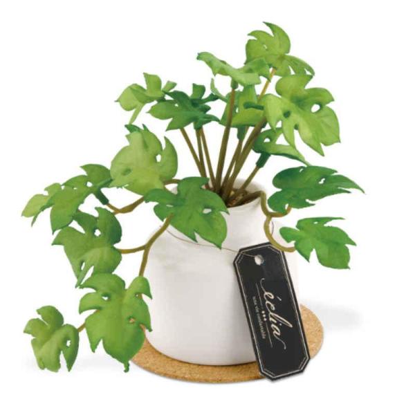 置いておくだけで雰囲気を明るくしてくれそうなモンステラのフェイクグリーンです。空気をキレイにするCT触媒の働きによって、悪臭成分や空気中の細菌を分解してくれます。光が不要なので玄関やトイレ、どんな場所でもお使いいただけます。オリジナルの陶器...