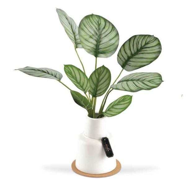 置いておくだけで雰囲気を明るくしてくれそうなフェイクグリーンです。空気をキレイにするCT触媒の働きによって、悪臭成分や空気中の細菌を分解してくれます。光が不要なので玄関やトイレ、どんな場所でもお使いいただけます。オリジナルの陶器鉢は雰囲気を...