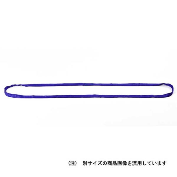 ＪＳＨ ＪＮＰＡＳ１０−１５【用途】荷物の吊り上げ・固定・引っ張り。【機能・特徴】ポリエステル原糸を束ね、耐摩耗性に優れたナイロン布地で保護した、柔軟性に優れたソフトタイプスリングです。エンドレス型です。【仕様】●ベルト長：1.5M。●色：...