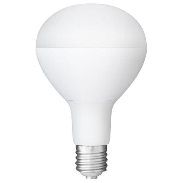 口金サイズが合えば、現在お使いの投光器にも使用できます。昼光色で作業がしやすい清々しい爽やかなあかりです。LED電球は省エネ、長寿命、虫が集まりにくく、熱くなりにくい特徴があります。●電源：AC100V（50/60Hz）●定格消費電力：25...