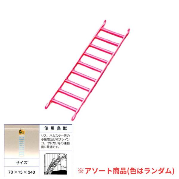 【原産国】日本