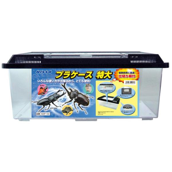 透明度の高いプラケース。【原材料】ポリスチレン・ポリプロピレン【原産国】中国