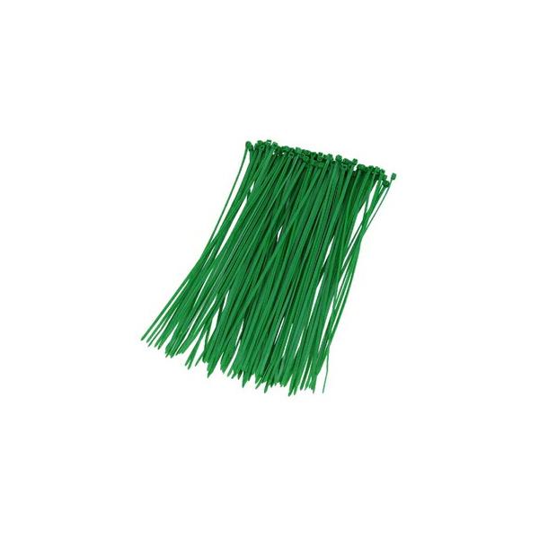 【用途】結束。【機能・特徴】添え木・垣根・支柱の固定等に最適です。インシュロックタイプです。【仕様】●幅：2.5mm。●長さ：200mm。●引張強度：8kgs。●色：グリーン。●入数：100本。【材質】●ナイロン66。【注意事項・その他】本...