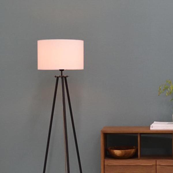 スチール(粉体塗装) アルミ【サイズ】 W50×D46×H151【重量】 3kg【製造国】 中国【組み立てタイプ】 要組立【付属工具】 六角レンチ スパナ【組立に必要な人数の目安】 1人【組立に必要な時間の目安】 15分【スペック】 電球付...