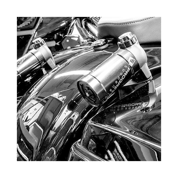 【適合】2009以降 ツーリングProgressive 970/990シリーズサスペンション用※FLTRXSTSEは不可【商品説明】Progressive（プログレッシブ）970/990シリーズサスペンションの、リモートリザーバータンクを、...