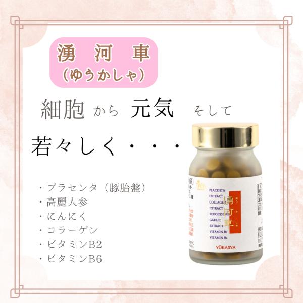 すでにプラセンタの良さを知っている方にお届けするプラセンタ製品です。１日１粒で125mgのプラセンタが摂れます。1瓶で８ヵ月分です。なぜ８か月分を１回に購入しなければいけないのか・・・。理由は商品説明で。身体と心のパフォーマンスをあげて、毎...