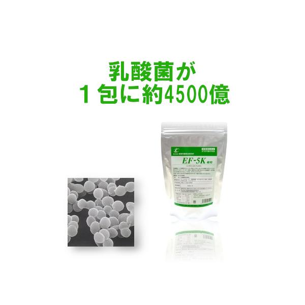 １包あたり約4,500億のEF621K菌を含有「EF-5K」の特徴乳酸球菌効果に注目し開発したのが、「ＥＦ‐６２１Ｋ菌」です。このＥＦ‐６２１Ｋ菌を純粋培養し、乾燥した後、ＴＮＦ‐α活性を測定し、適合したものだけがＢＲＭ（生体応答調節物質）...