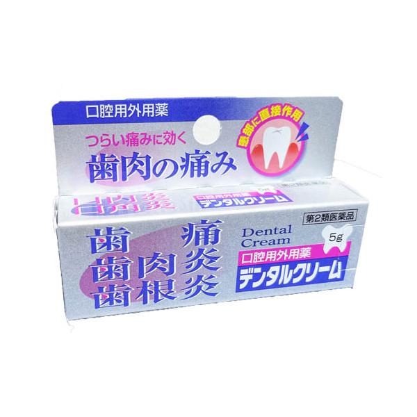 すぐれた２種類の局所麻酔成分を配合した塗り薬で我慢できない歯や口内炎の痛みを鎮めます。化膿を防ぐ成分も配合して素早い効果を発揮します。口腔内の患部に良く密着します。