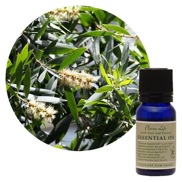 「フレーバーライフ社　FL　精油　カユプテ　10ml」は、100％ピュア＆ナチュラルなエッセンシャルオイルです。カユプテはオーストラリア、東南アジア原産の常緑樹です。樟脳を思わせるすっきりとした香りの中にソフトな甘みが調和する香りは、気持ち...