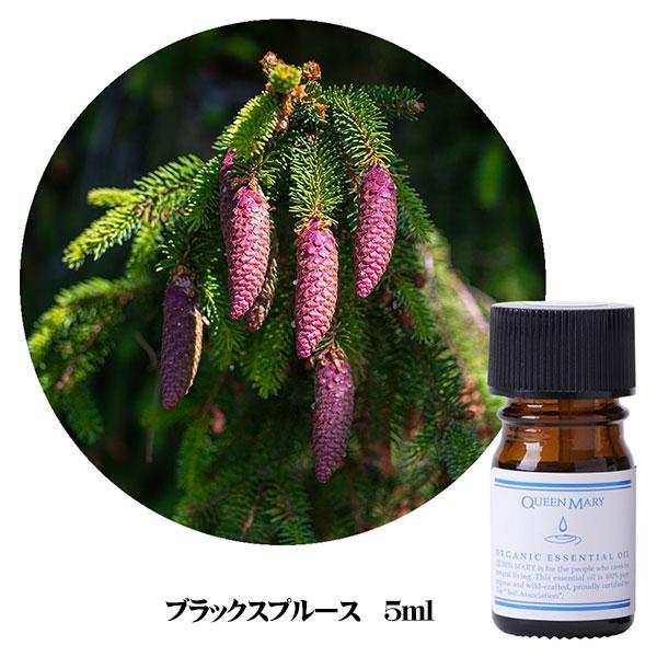 「フレーバーライフ　クイーンメリーオーガニック精油　ブラックスプルース　5ml」は、樹木系のオーガニックエッセンシャルオイルです。みずみずしくスパイシーな森林の香り。リフレッシュしたい時、気分を明るくしたい時などにおすすめです。■メーカー　...