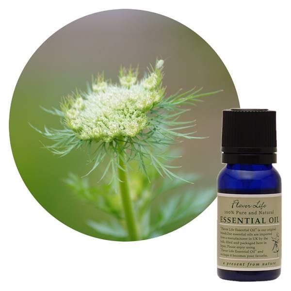 「フレーバーライフ社　FL　精油　キャロットシード　10ml」は、100％ピュア＆ナチュラルなエッセンシャルオイルです。キャロットシードは和名をノラニンジンといい、草丈50〜1mにもなるせり科の植物です。キャロットシードの精油はそのノラニン...