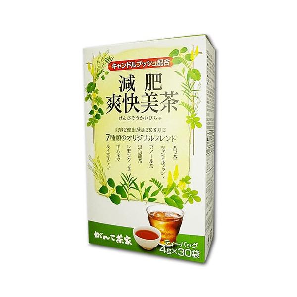 「がんこ茶屋　減肥爽快美茶　4g×30包」は、7種類のオリジナルブレンド茶です。ハブ茶、キャンドルブッシュ、プアール茶、烏龍茶、レモンぐレス、ギムネマ、ルイボスティを配合。美容と健康をサポートします。■メーカー　がんこ茶家■区分　ダイエット...
