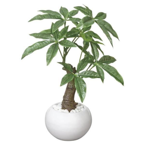 開店祝い、新築祝いなどに人気の「光の楽園」　人口観葉植物、フラワーなど多数。末広の形に広がる葉から「幸運」をもたらす縁起の良い木といわれいます。「光の楽園」は、太陽光や蛍光灯の光に反応する「光触媒技術」を利用し、一つ一つ丁寧に人の手によって...