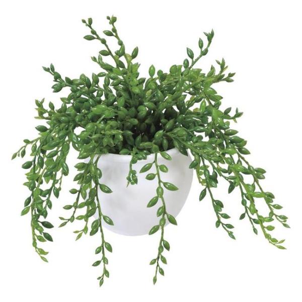 開店祝い、新築祝いなどに人気の「光の楽園」　人口観葉植物、フラワーなど多数。「光の楽園」は、太陽光や蛍光灯の光に反応する「光触媒技術」を利用し、一つ一つ丁寧に人の手によって造られている人口観葉植物（フェイクグリーン・フェイクフラワー）です。...
