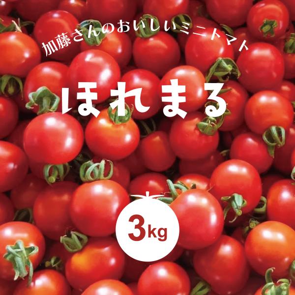 【発売日：2024年07月16日】【在庫について】毎週、数量限定での受付となります。一時的に在庫切れとなる場合がございますが、再入荷をお待ちください。ご注文順にお届けいたします。山形県長井産【ほれまる】皮が薄く柔らかいため食べやすく、ゼリー...