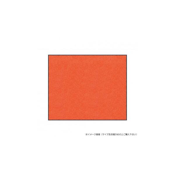 除塵・吸水性能に優れた万能タイプの玄関マット。屋外・屋内いずれでも使えて、業務用から家庭用まで幅広くご使用頂けます。マット裏面に柔軟性の高いラバーを採用、ズレやたくれが発生しにくい設計です。