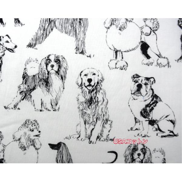 【USAコットン】【Sketching of the dog】TimelessTreasure イヌのスケッチ コットン 輸入生地 布 マスク 小物 洋服 アメリカ 犬 イヌ