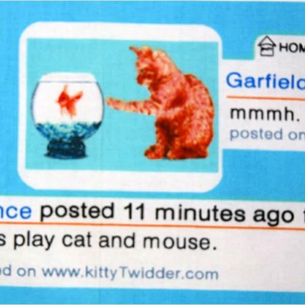 【USAコットン】Benartex 「Kitty Twidder」生地　入園入学 ネコ 猫 輸入生地 アメリカ