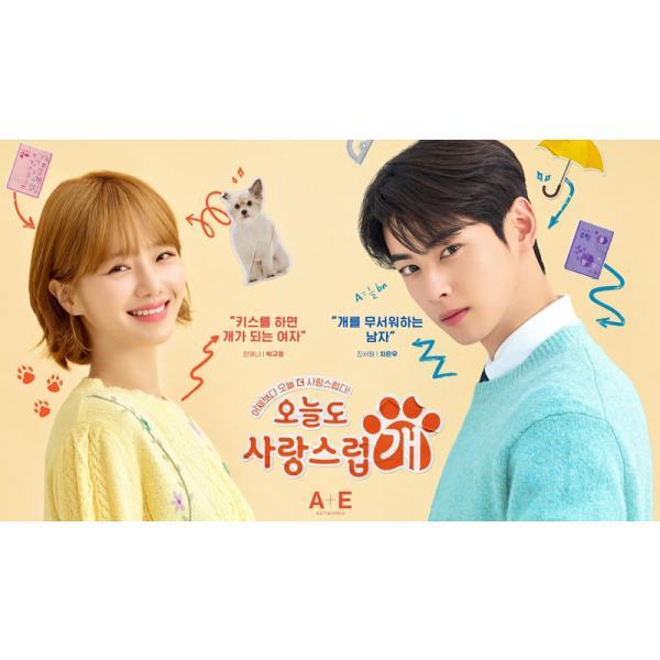 原題： 収録話数：全14話音声:韓国語字幕:日本語TYPE B : Blu-rayディスク１枚商品保障について※注文後のキャンセル対応はいたしかねます。※ケース/箱破損は保障対象外です。※再生不良の場合はメールまたはお問い合わせフォームにて...