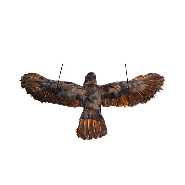 本物そっくり！鳥追いタカ 吊り下げ型 本物にそっくりな防鳥・鳥追いタカです！吊り下げ式で風に揺れることでより効果が高まります！カラス・スズメ・ひよ鳥・むく鳥等、鳥類被害の対策にオススメです！ 仕様  品名 本物そっくり！鳥追いタカ 吊り下げ...