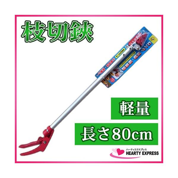 小枝選定・採果に、扱いやすいセミロングタイプ！！  ロング枝切り・採集鋏 80cm TS-80 ■商品説明■全長約80cm。小枝選定・採果に、扱いやすいセミロングタイプ！重さ約375g。アルミフレームの軽量タイプ！！切断能力、約10mmまで...