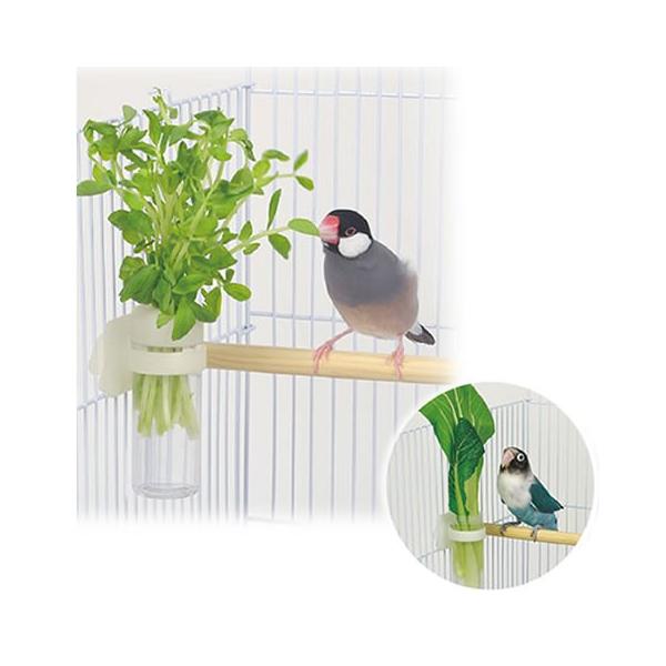 鳥用メーカー：サンコー（SANKO）サイズ：直径34×高さ89mm(菜さし部分)