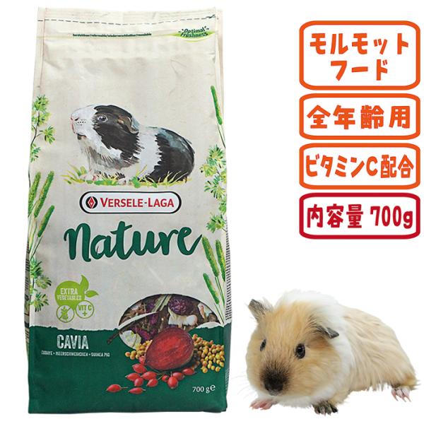 モルモット用メーカー：バッカスタイル内容量：700g■原材料野菜由来製品(ティモシー、草およびハーブ21％)、野菜(ビートルート5.5％、イエローエンドウ豆4％、グリーンピース12％)、果物(ローズヒップ1％)、種子、ミネラル、植物性タンパ...