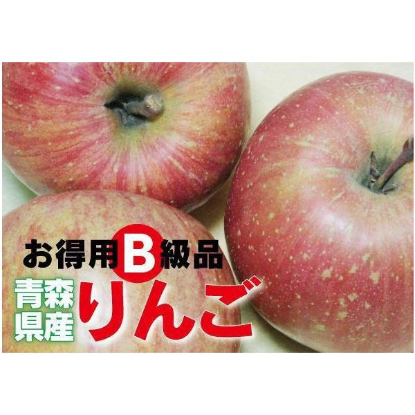 【発売日：2025年05月23日】・ふじ(今や青森だけでなく日本を代表する赤い品種)キズやツル割れ、つぶれ等有り「わけあり」で大小不揃いな家庭用規格外の「B級品」ですりんごはなまものの為、個々に違いがあり、・味・サイズ・色等は常に同じ物では...