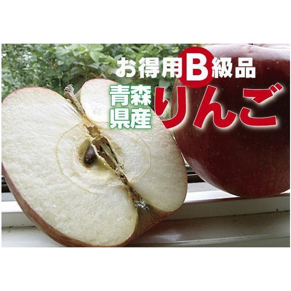 【発売日：2024年10月02日】・千秋(育てるのがとても難しい品種で通好みな赤い品種)キズやツル割れ、つぶれ等有り「わけあり」で大小不揃いな「B級品」ですりんごはなまものの為、個々に違いがあり、・味・サイズ・色等は常に同じ物ではありません...