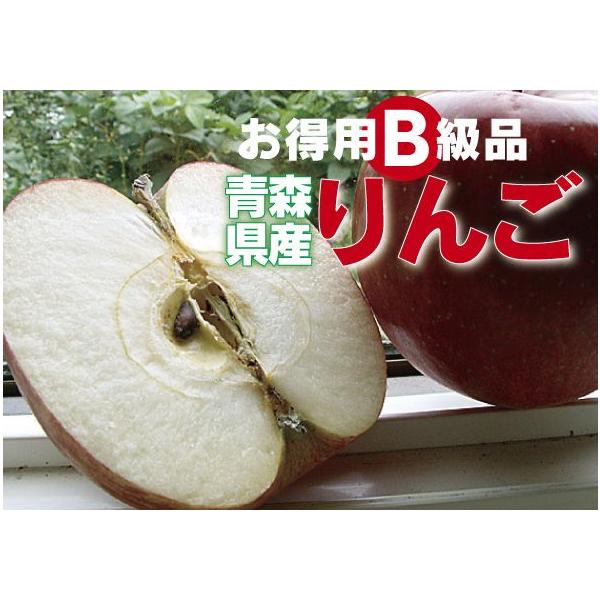 【発売日：2024年09月03日】・サンつがる(果肉が柔らかく甘い赤い品種)キズやツル割れ、つぶれ等有り「わけあり」で大小不揃いな「B級品」ですりんごはなまものの為、個々に違いがあり、・味・サイズ・色等は常に同じ物ではありません。必ず成熟度...