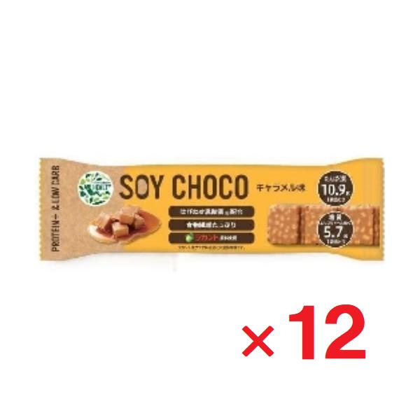 12本セットです。ヘルティソイチョコが新しくなりました！・食物繊維たっぷり・ショートニング不使用・はぴねす乳酸菌 配合世界的にリフレッシュサポートの研究報告のあり乳酸菌ヘルペティカス種を研究し、選び抜かれた「みなさまのハッピーをサポート」す...
