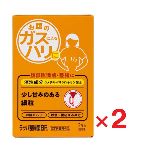 2個セットです。おなかの調子を整え、おなかの不快感からあなたを守ります。【特長】●消化管内にたまったガスの吸収と排出を促進します。　ジメチルポリシロキサンの消泡作用により、胃や腸管内で過剰にたまったガスの吸収と排出を促進します。●3種類の乳...