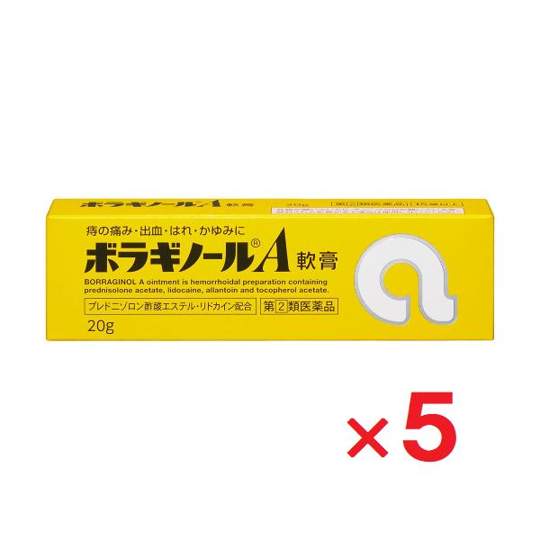 5個セットです。1．4種の成分がはたらいて，痔による痛み・出血・はれ・かゆみにすぐれた効果を発揮します。　●プレドニゾロン酢酸エステルが出血，はれ，かゆみをおさえ，リドカインが痛み，かゆみをしずめます。　●アラントインが傷の治りをたすけ組織...