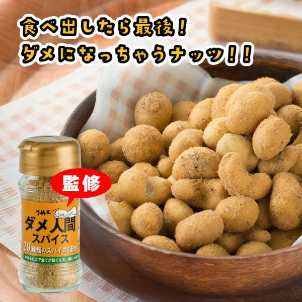 『食べだしたら最後！ダメになっちゃうナッツ！』あの「ダメ人間スパイス」監修のスパイシーなナッツビールに、お酒に、炭酸飲料に・・・。小腹が空いたときのおつまみに最適。カシューナッツと落花生に20種類のスパイスを配合した「ダメ人間スパイス」がふ...