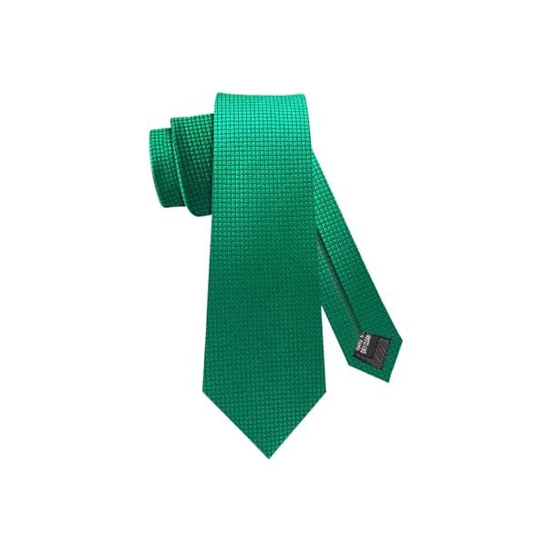 グリーン/Free Size/-・Color:グリーン・人気の選べるネクタイに新柄が登場！全長146cm　剣先幅8cm・品質はランクアップ！縦糸にはシルク100％、横糸にはポリエステル100％を使用し、シルクの質感を最大限に引き出しました。...