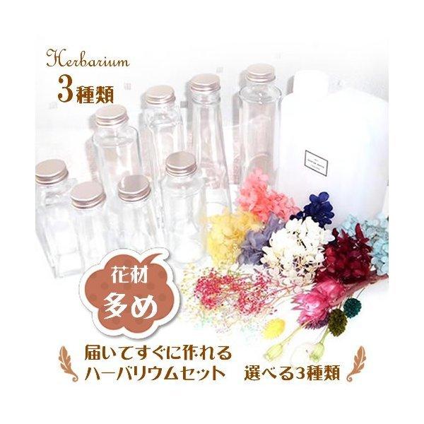 ハーバリウム8本分のスターターセット●ハーバリウムオイル●ボトル8本●長いピンセット●お任せ ハーバリウム 花材セット※花材が多いと大好評です-----------------------------------------------プリ...