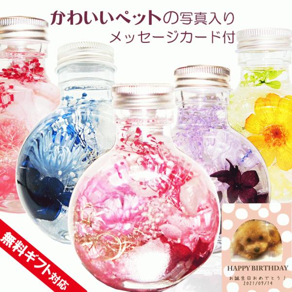 プレゼントハーバリウム2本セット/選べるカラー写真入りメッセージカード付き無料ギフトボックス/熨斗対応可素　　材：ガラス※北海道、沖縄、離島以外は、送料無料。フラワーギフトを贈りたいイベントお正月、 成人式、 バレンタイン、 ひな祭り、 ホ...