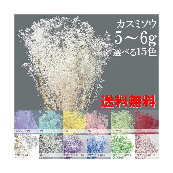 ソフトミニカスミ草 5〜6g-----------------------------------------------プリザーブドフラワー&amp;ドライフラワーは自然の素材となりますので色合いや形状、大きさなど異なることがございますの...