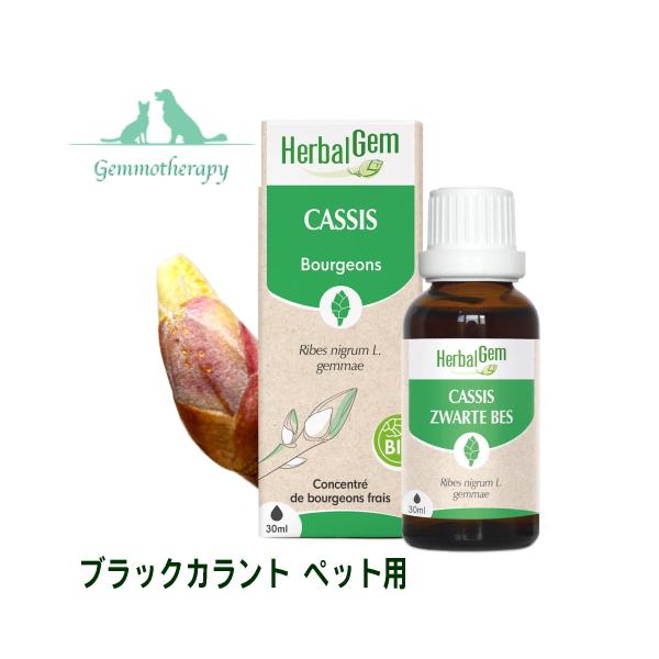 ジェモセラピーは、植物が発芽から新芽となって伸びていくときだけに合成される各種成長ホルモン、栄養素を凝縮したハーバルサプリメント。 伝統的な民間療法で人間に有益と認められているハーブ、その植物の新芽エネルギーが体内の気の流れを刺激して健康を...